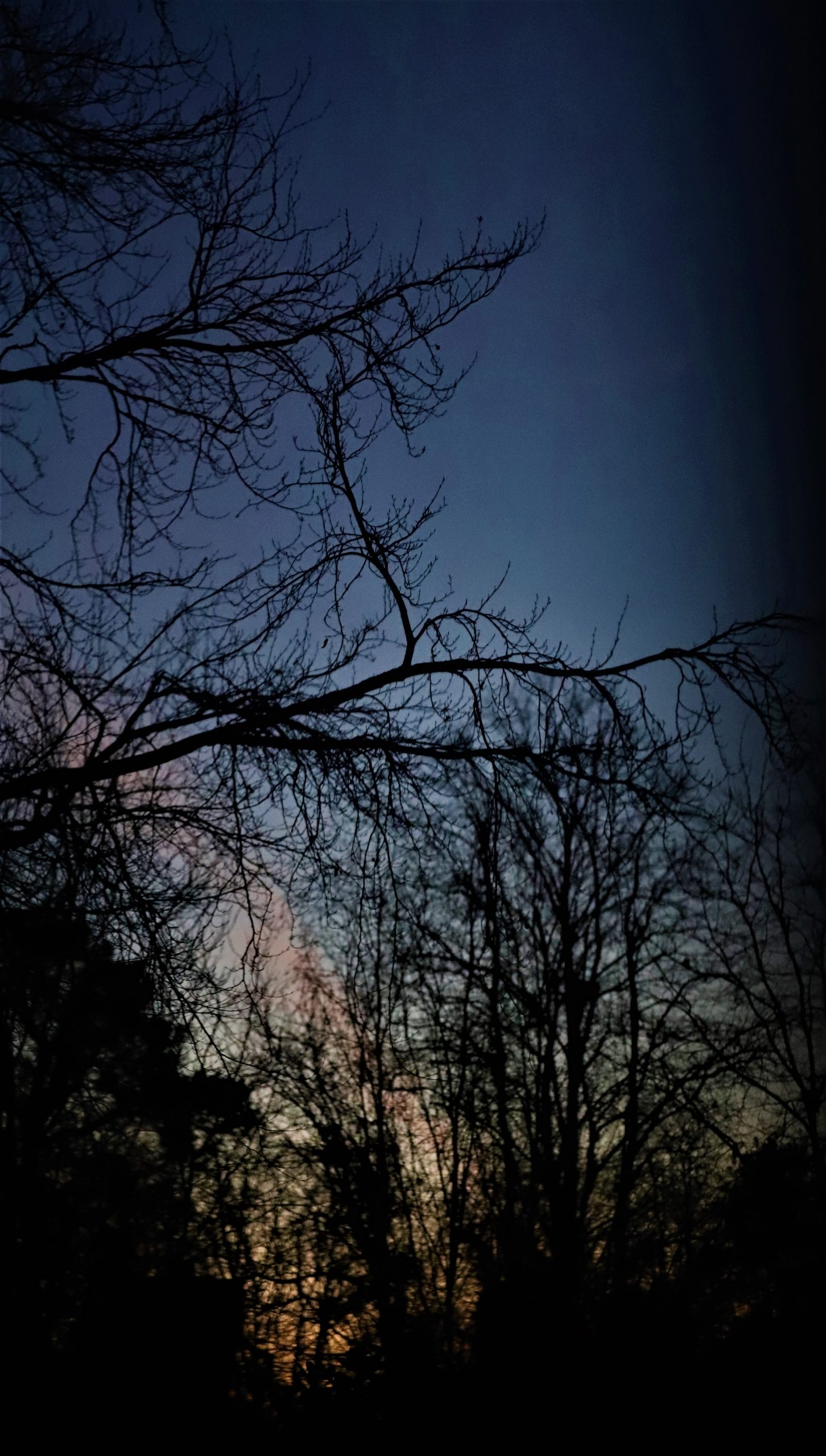 L’ HEURE BLEUE | Douglas Reeman's Official Website